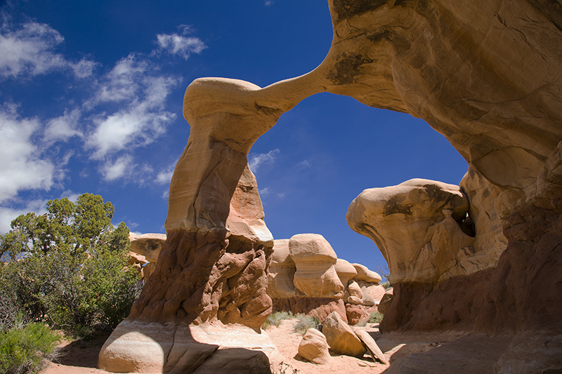 Nature Photography, Bill & Sharon Draker, Nature Photographers