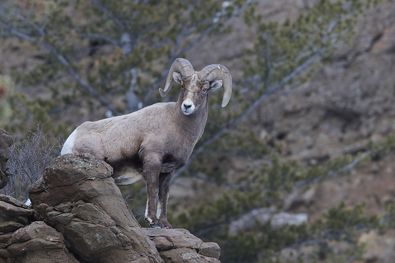 Nature Photography, Bill & Sharon Draker, Nature Photographers